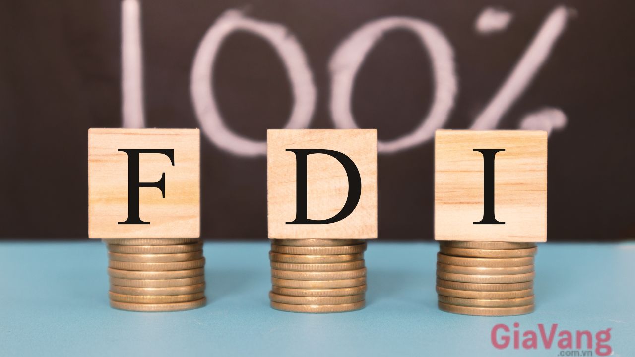 FDI là gì? Điều kiện để có thể trở thành doanh nghiệp FDI - Giavang.com.vn